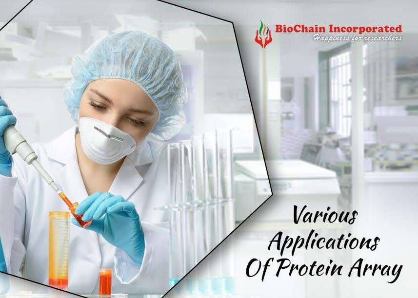 How Is Protein Array Used In Genomics Diagnostics And Proteomics